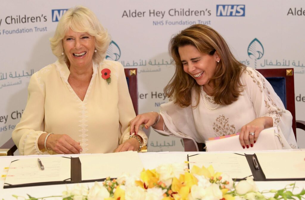 The power struggle surrounding the UAE’s latest runaway princess - Why ...